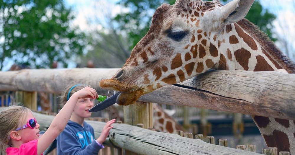 Neuro-Inclusive Programs & Activities - Visit Colorado Springs
