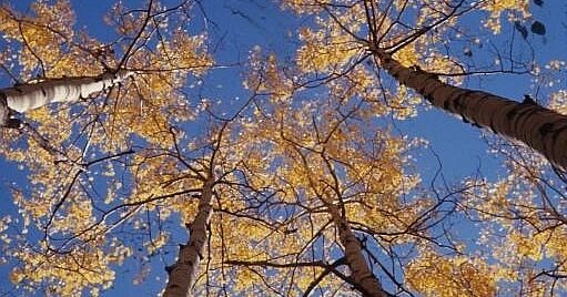 Golden Loop Historic Parkway - Visit Colorado Springs