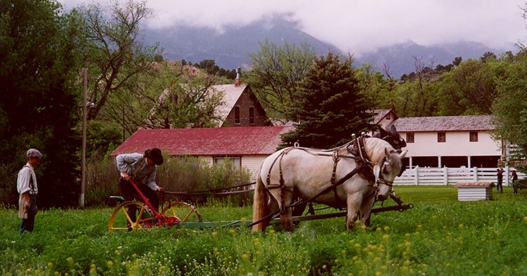 Colorado Springs Dude Ranches - Visit Colorado Springs