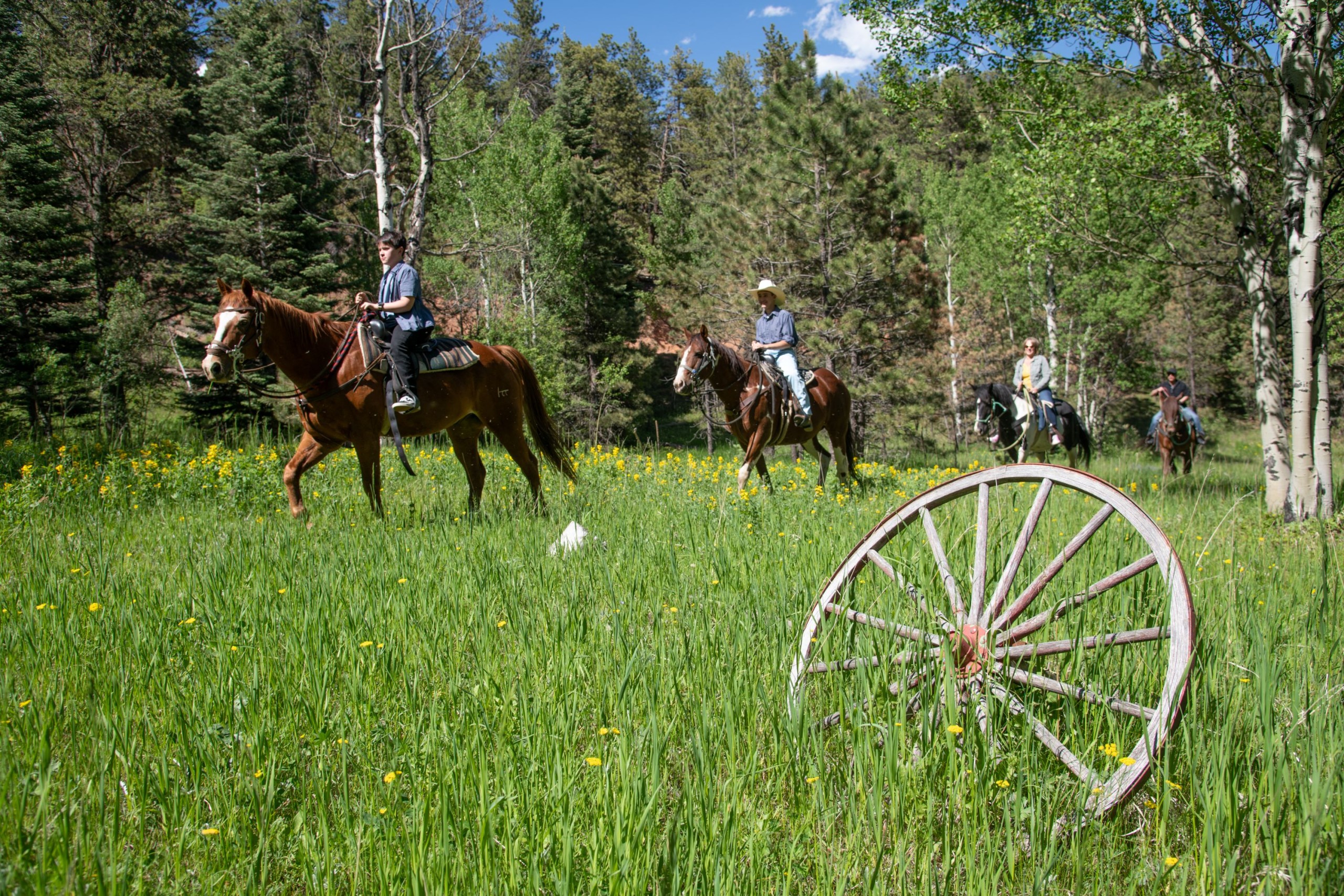 Colorado Springs Horseback Riding Adventures - Visit Colorado Springs