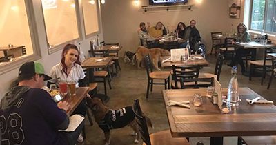 Pub Dog Colorado - Visit Colorado Springs