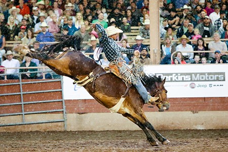 2025 Pikes Peak or Bust Rodeo | Event Guide & Ticket Info - Visit ...