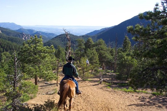 Colorado Springs Horseback Riding Adventures - Visit Colorado Springs