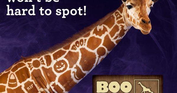 Boo at the Zoo - Visit Colorado Springs